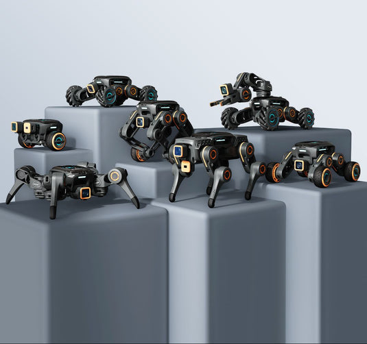 UBtech humanoide Roboter Hersteller | Terra Robotics