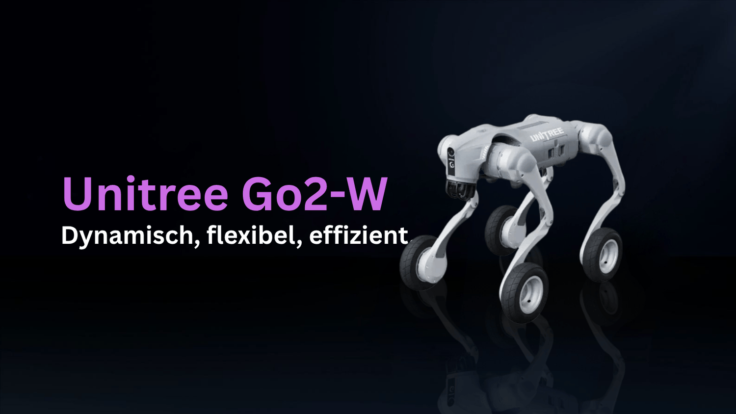 Unitree Go2W Roboterhund Mobilität | Terra Robotics